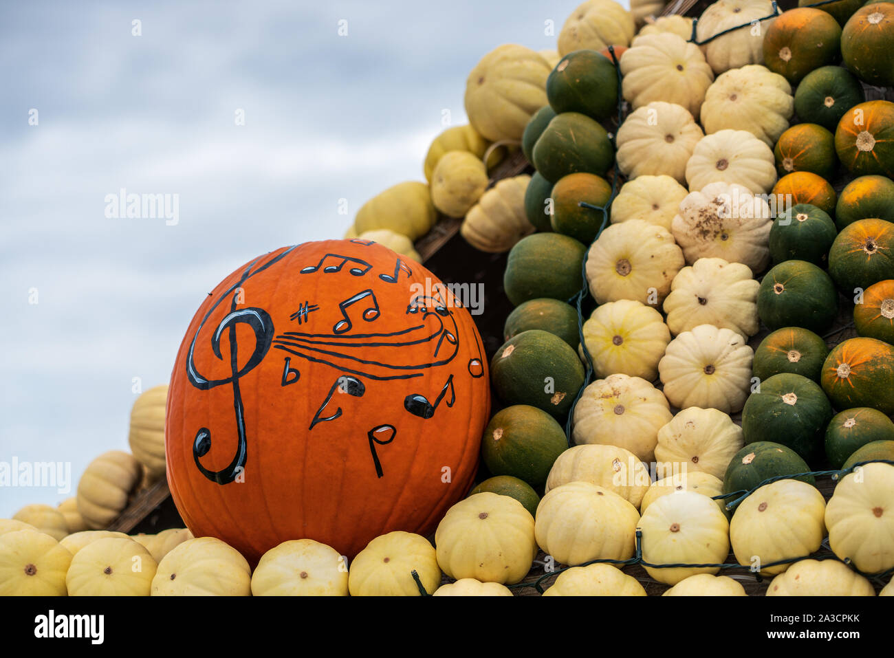 different types of gourds side by side Stock Photo - Alamy