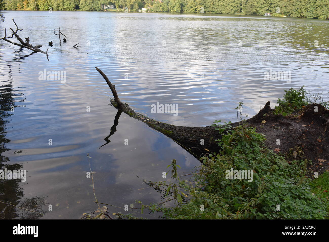Lagow lake hi-res stock photography and images - Alamy