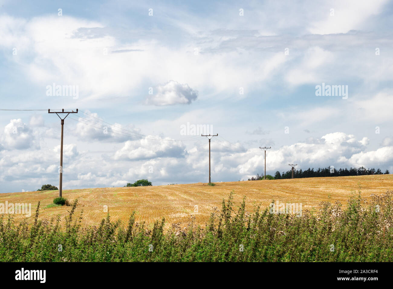 Four low voltage electric power poles in stubble Stock Photo - Alamy