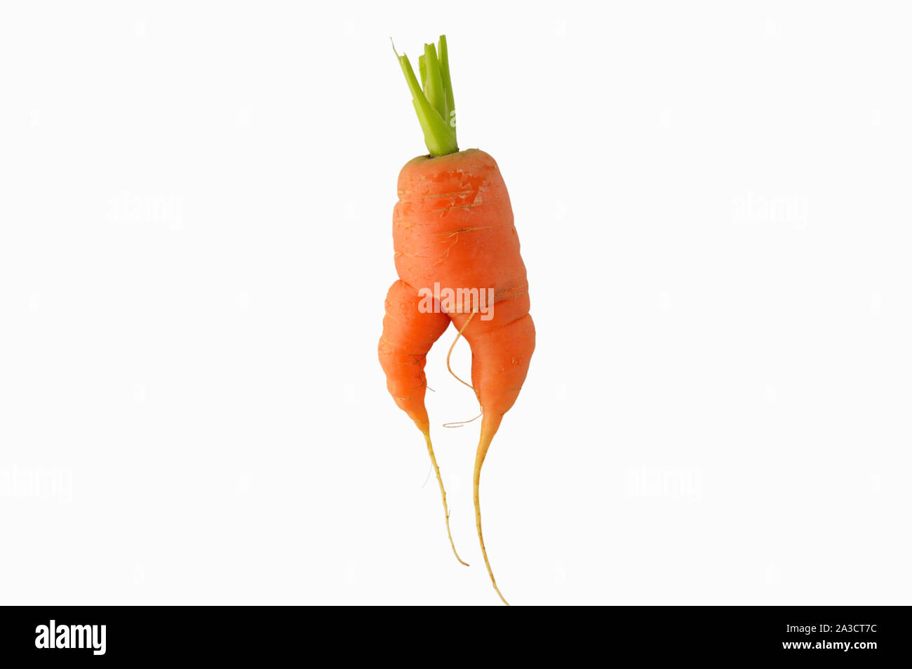 Deformed carrot isolated on white Stock Photo - Alamy