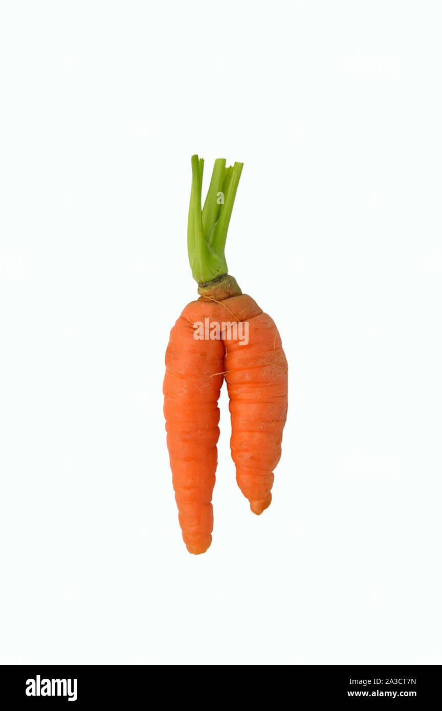 Deformed carrot isolated on white Stock Photo - Alamy