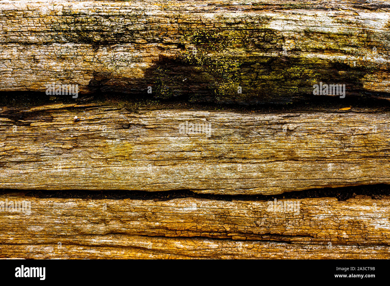 Weathered wood timber texture for graphic resource Stock Photo - Alamy