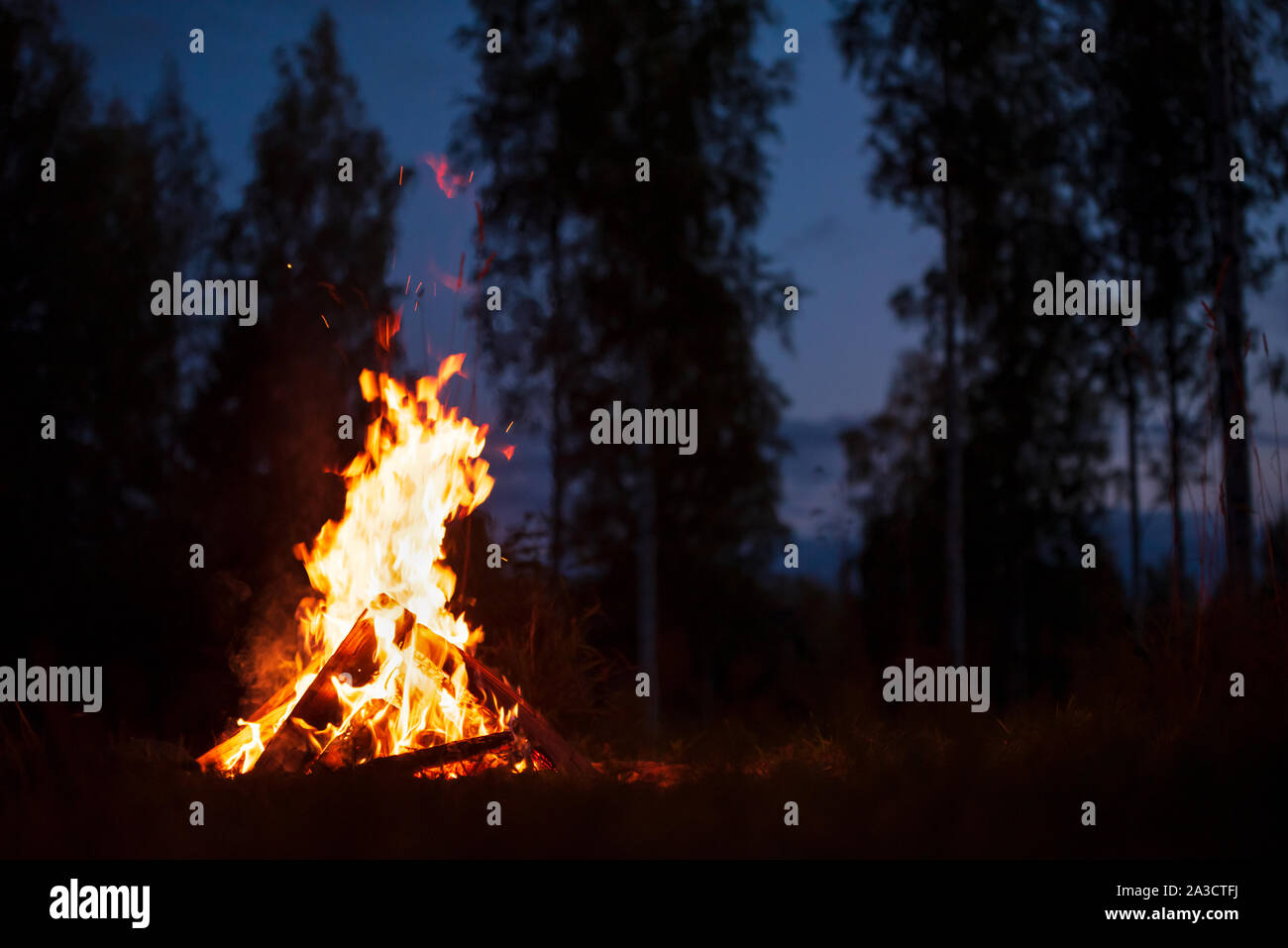 Burning campfire on a dark night in a forest Stock Photo - Alamy