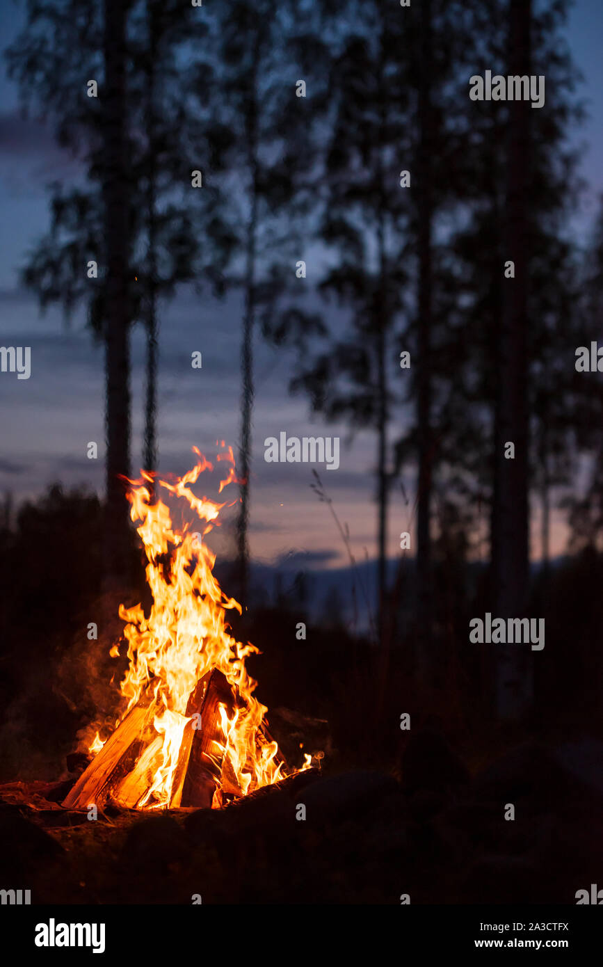 Burning campfire on a dark night in a forest Stock Photo - Alamy