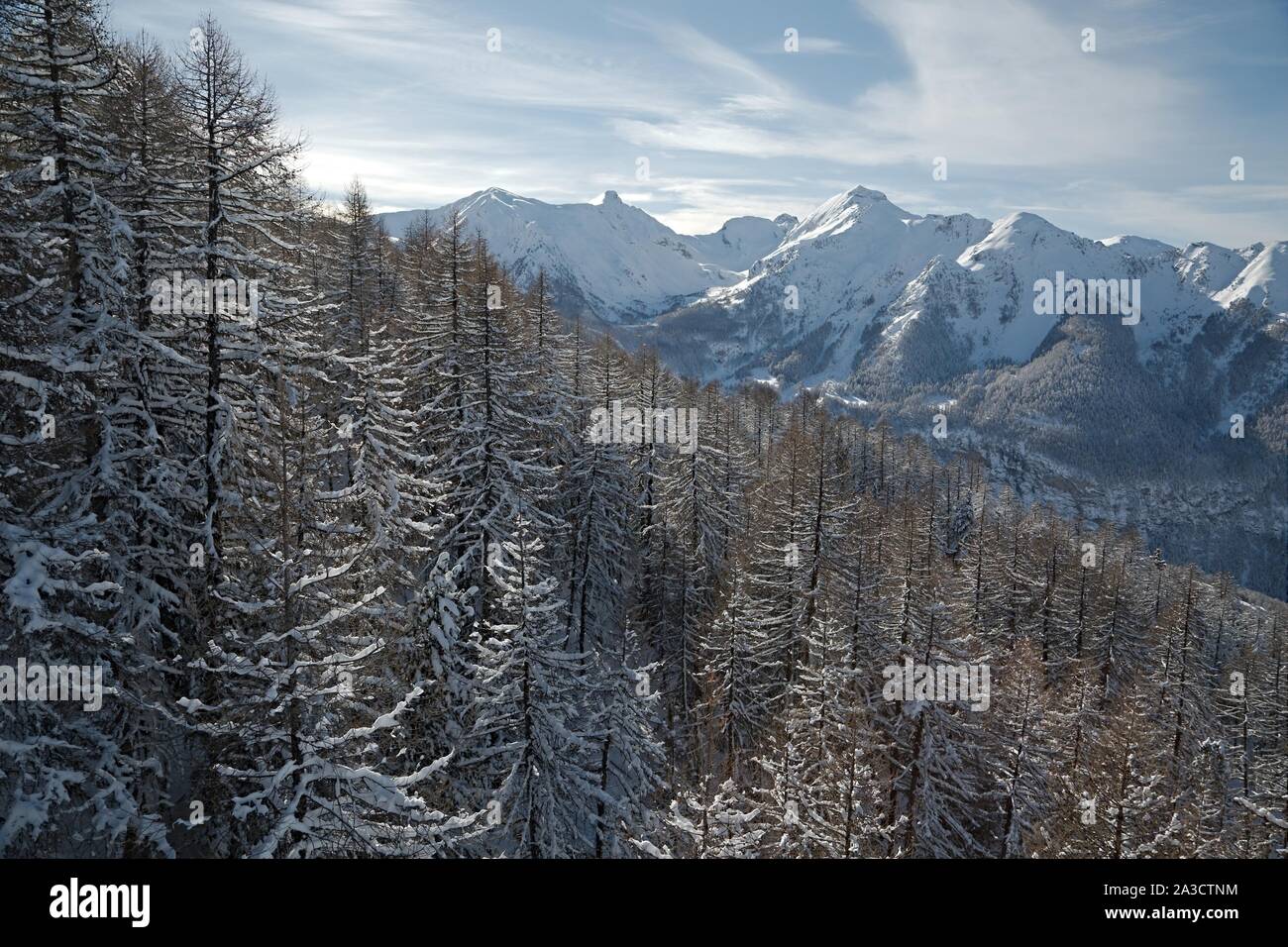 Winter Landscape with Trees Stock Photo - Alamy