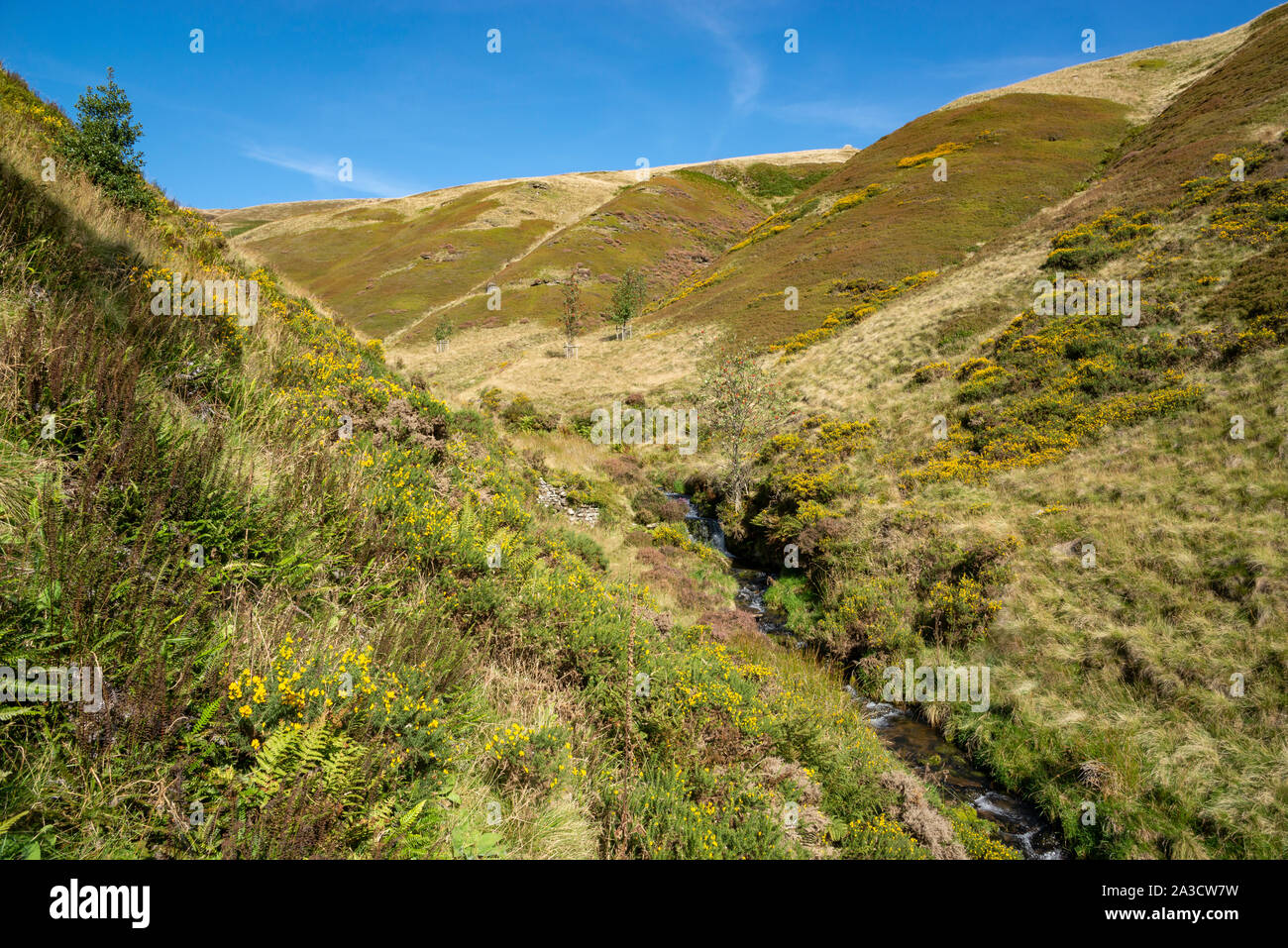 Moorland stream below Jacobs Ladder, Vale of Edale, Peak District ...