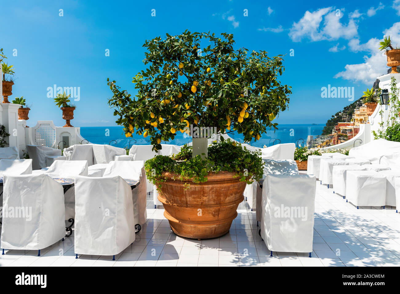 Lemon tree in the beautiful Italian town of Positano on the Amalfi ...