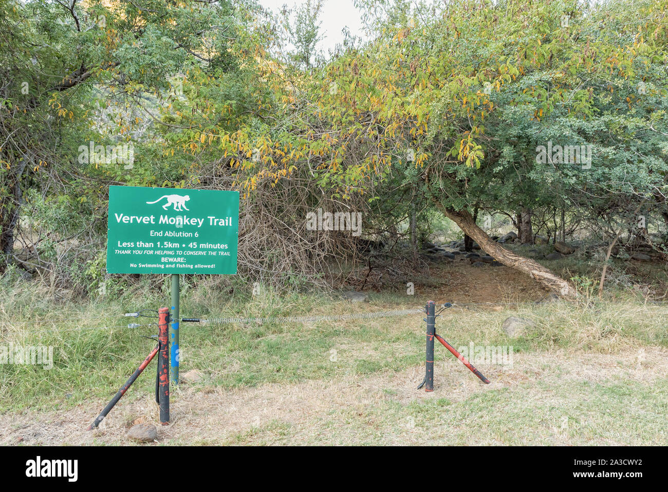 SWADINI, SOUTH AFRICA - MAY 19, 2019: Start of the Vervet Monkey Trail ...