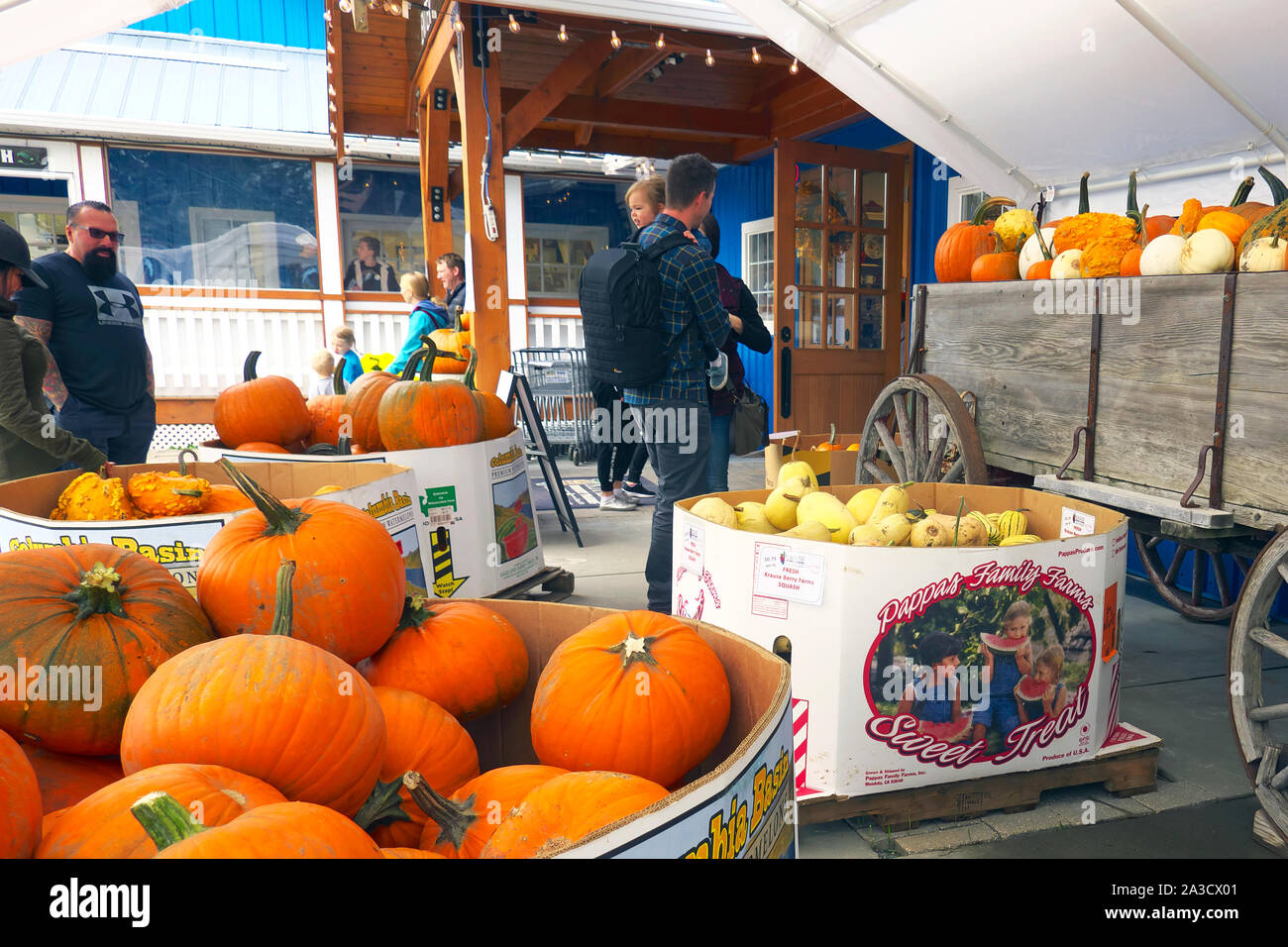 Krause berry farm hi-res stock photography and images - Alamy
