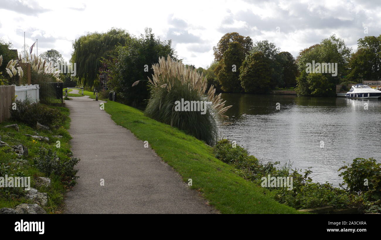 Thames path view hi-res stock photography and images - Alamy