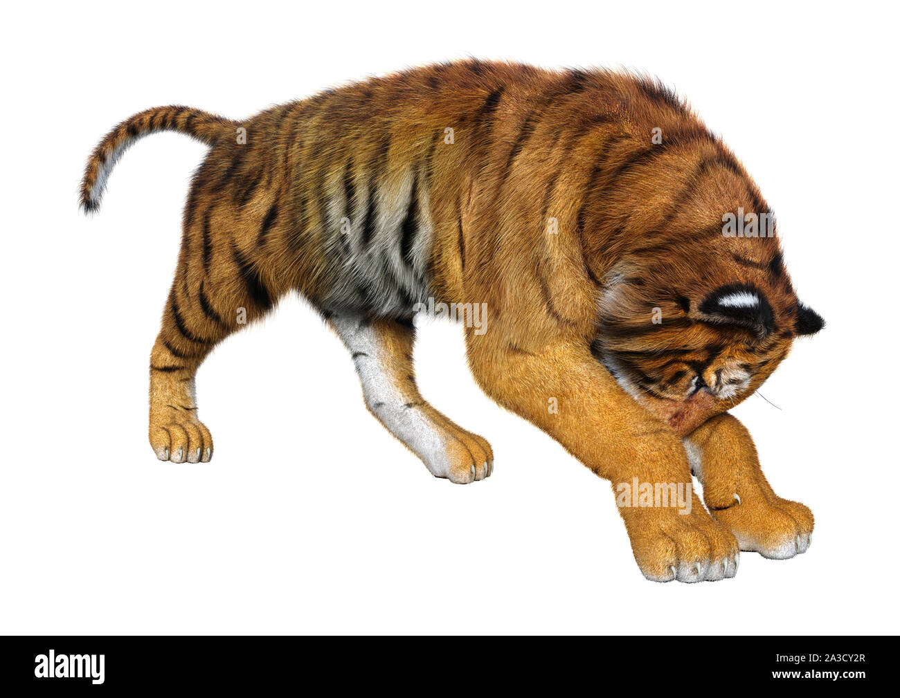 3D rendering of a big cat tiger isolated on white background Stock ...