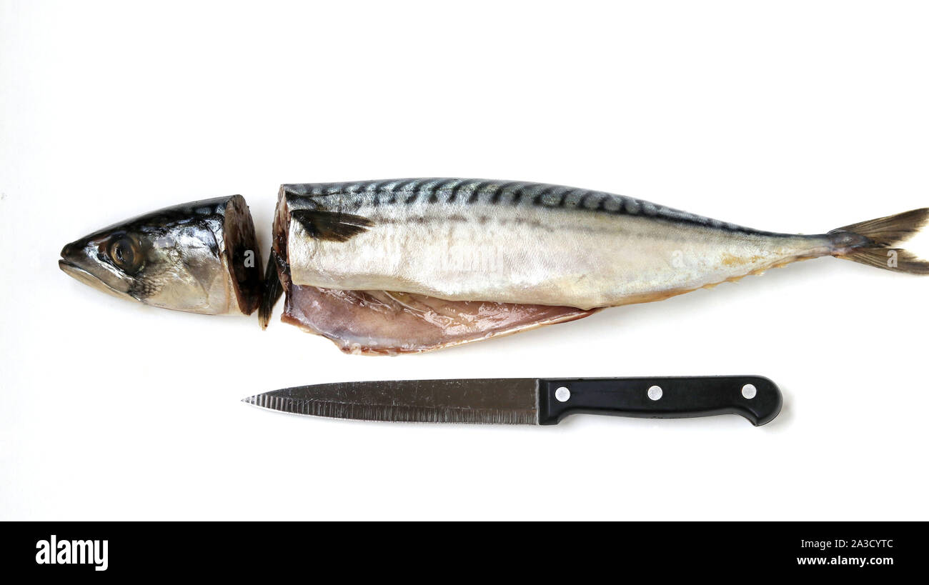 Horizontal layout hi-res stock photography and images - Alamy