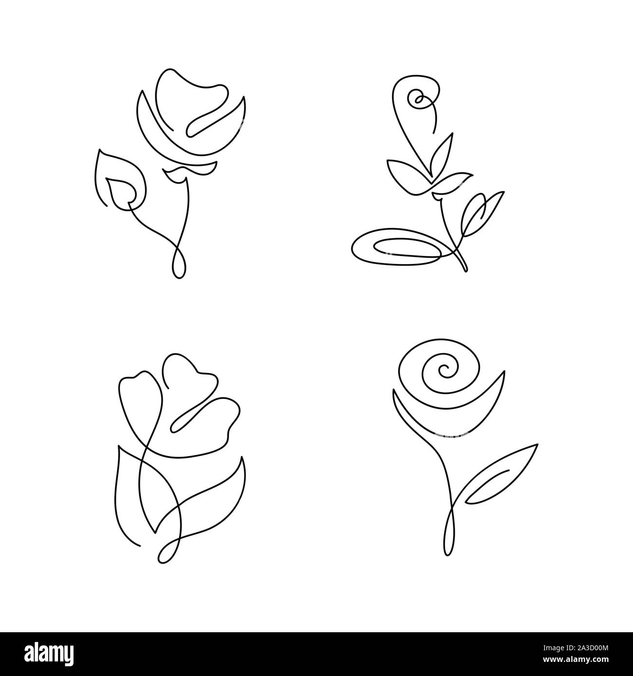 Set of continuous line hand drawing calligraphic vector flowers concept ...