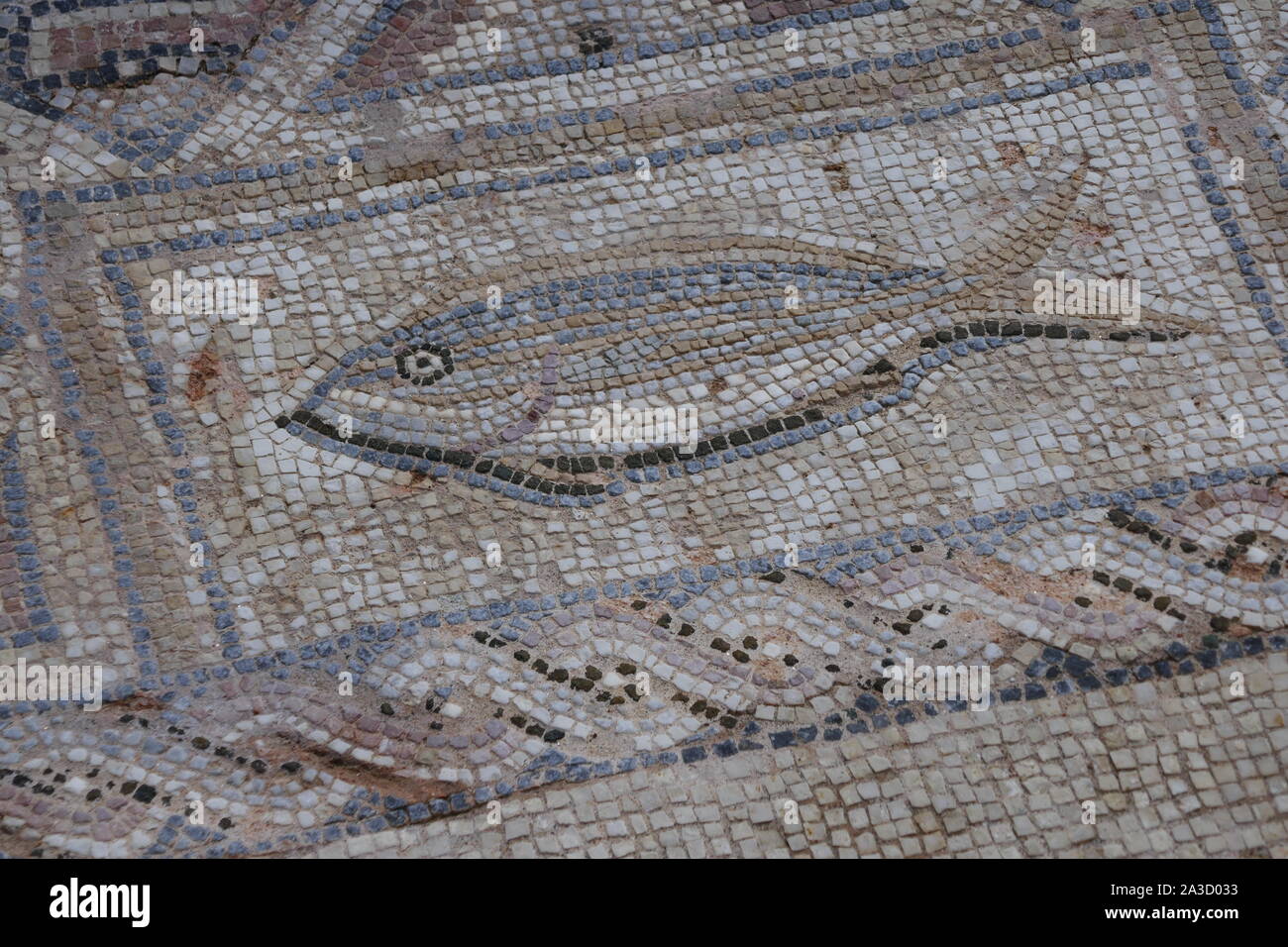 Roman mosaic fish hi-res stock photography and images - Alamy