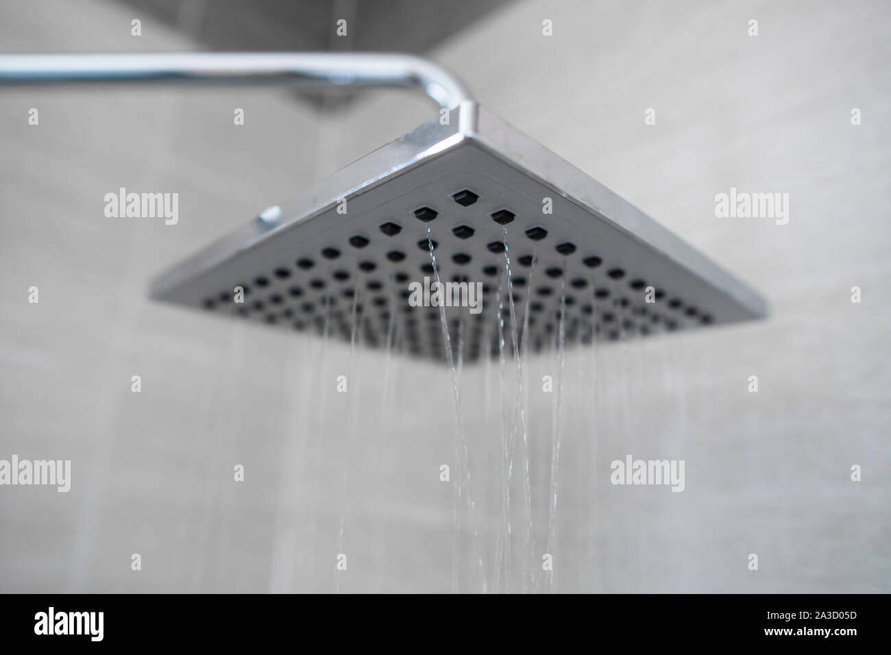 Water flowing from the square shower head in a modern bathroom. Shower ...