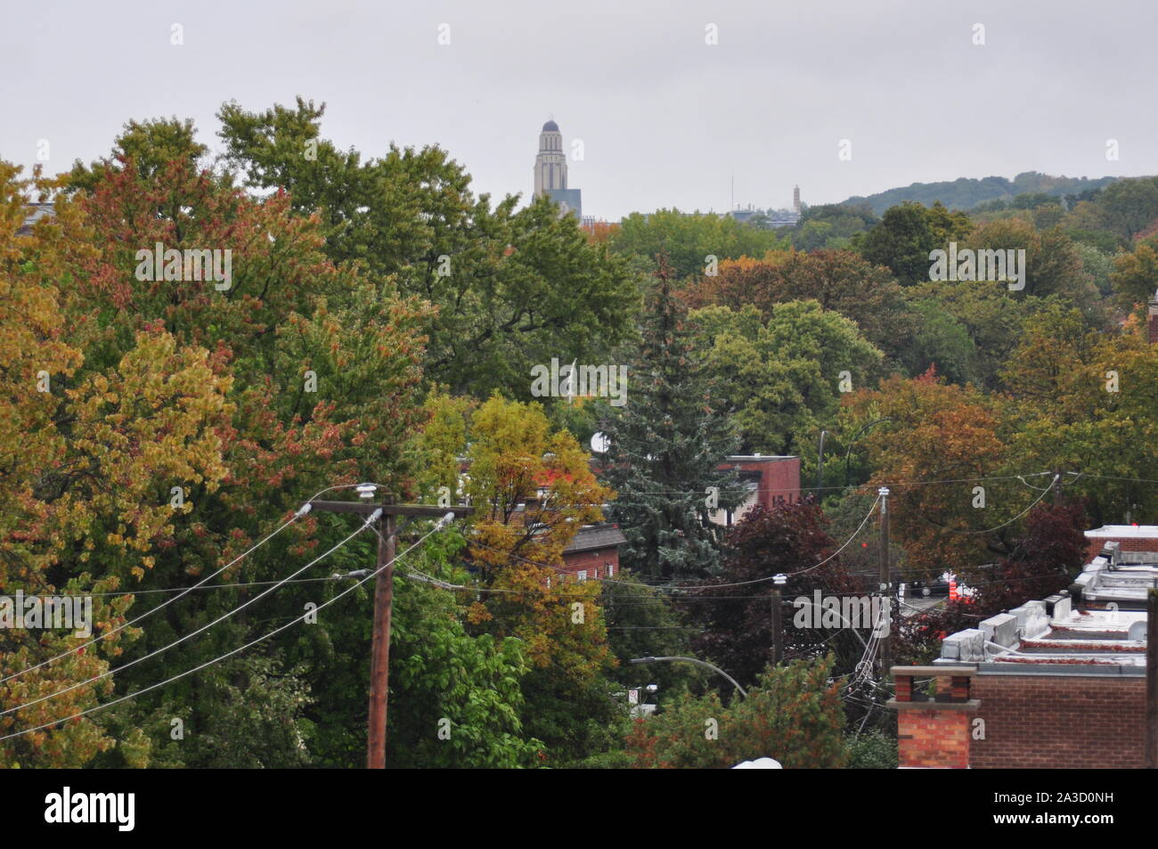 Fall colors in the city Stock Photo - Alamy