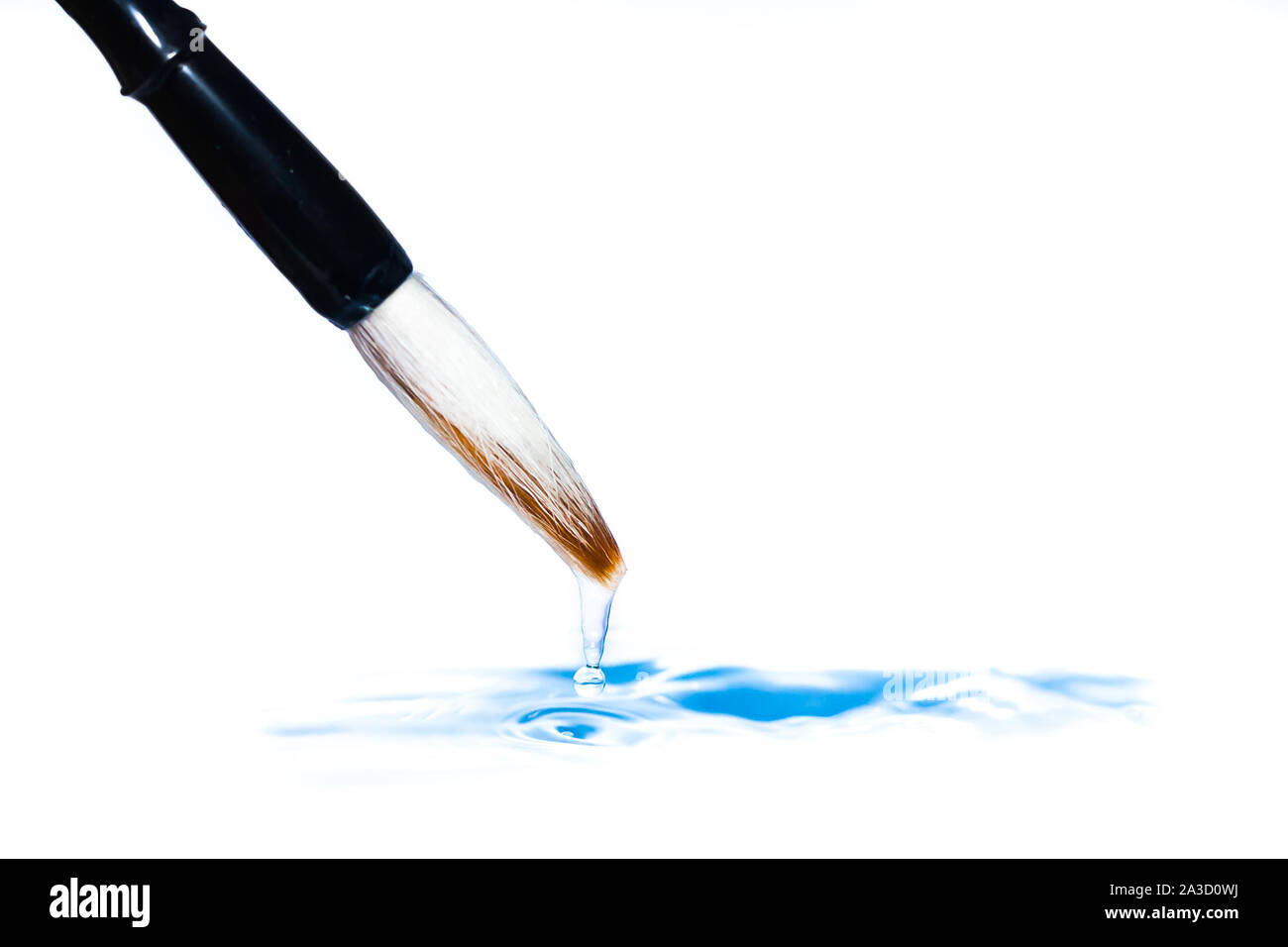 Water drop splash on paint brush mix synthetic and natural hair ...