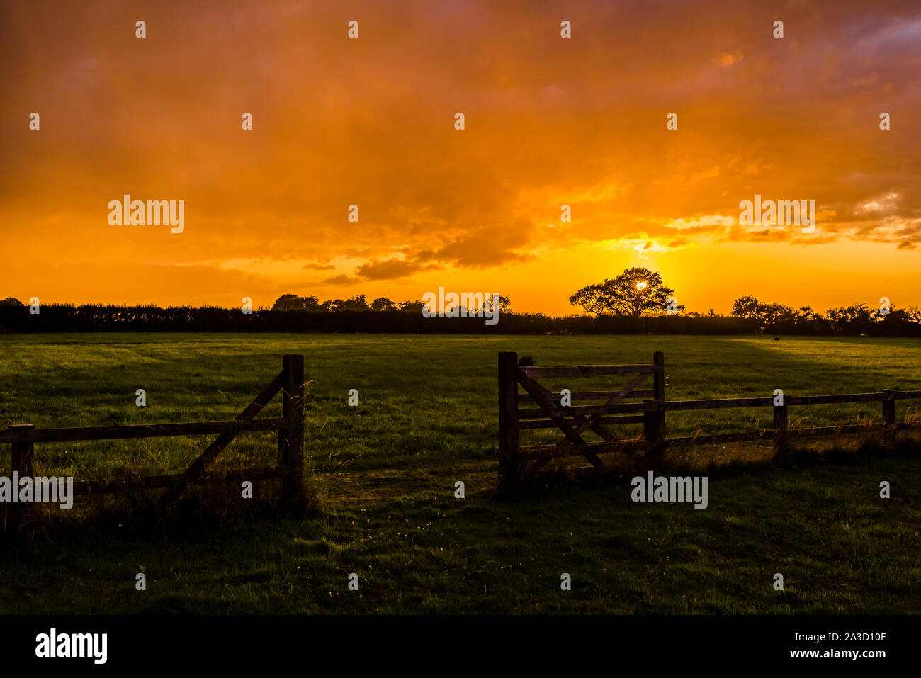 Green Field With Wooden Fence And Gate High Resolution Stock ...