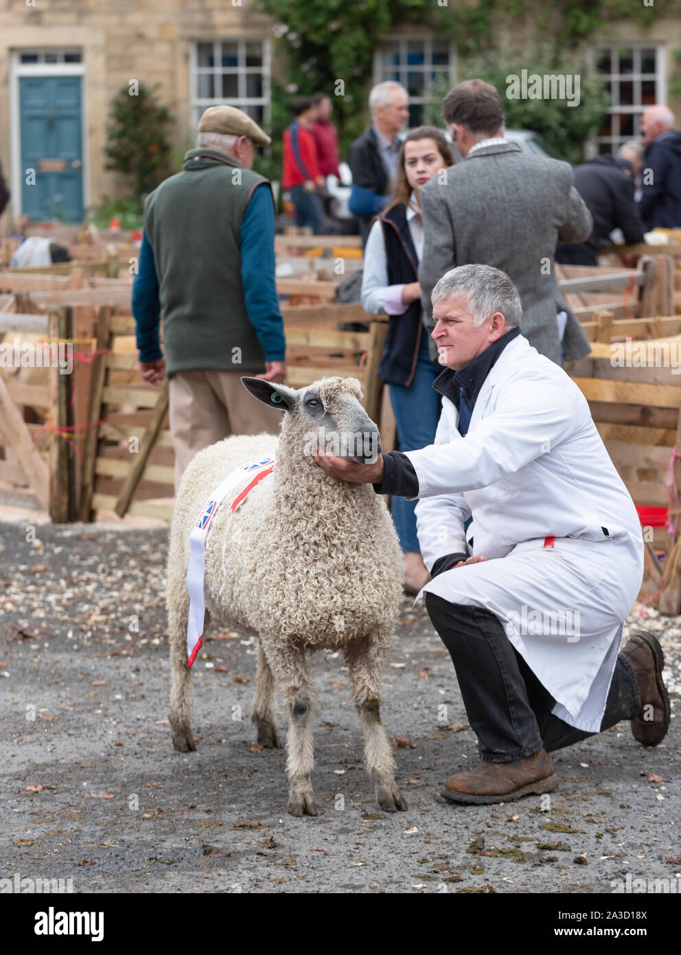 Masham and sheep fair 2019 hi-res stock photography and images - Alamy
