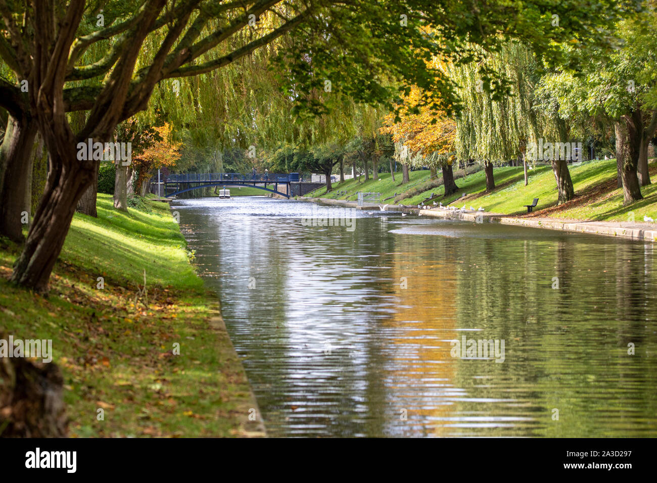 The Royal Military Canal, Hythe Stock Photo - Alamy