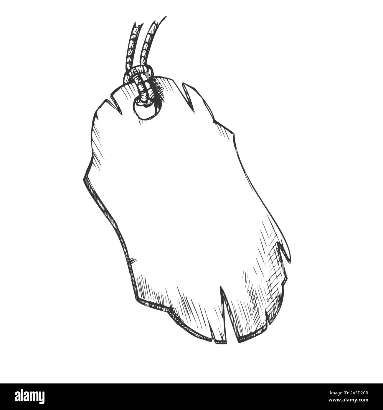 Label Tag Blank Cardboard With Rope Vintage Vector Stock Vector Image ...