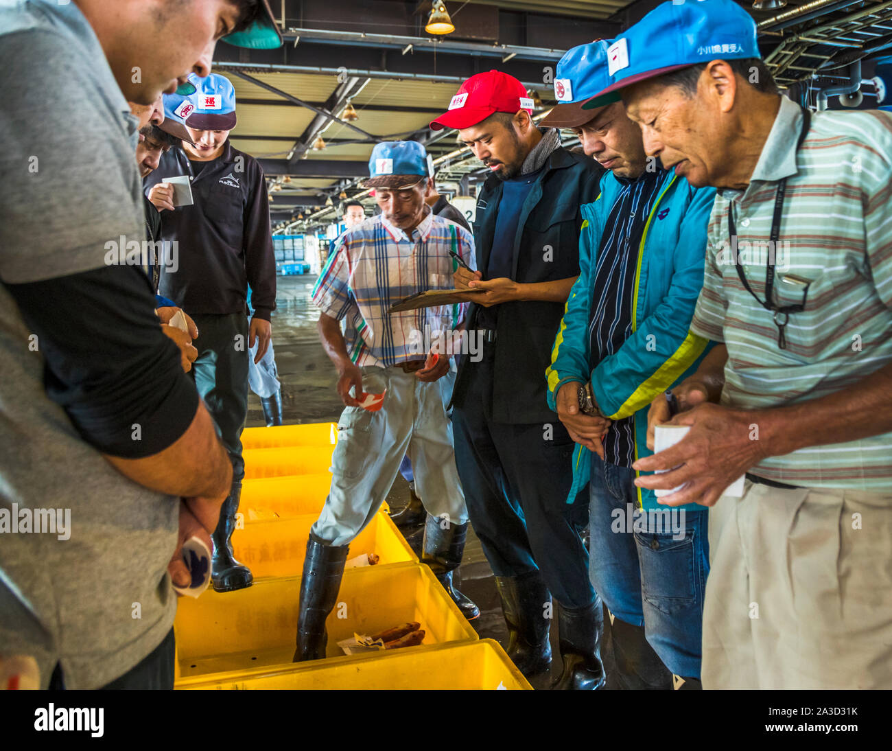 Fish Auction in Yaidu, Japan Stock Photo - Alamy