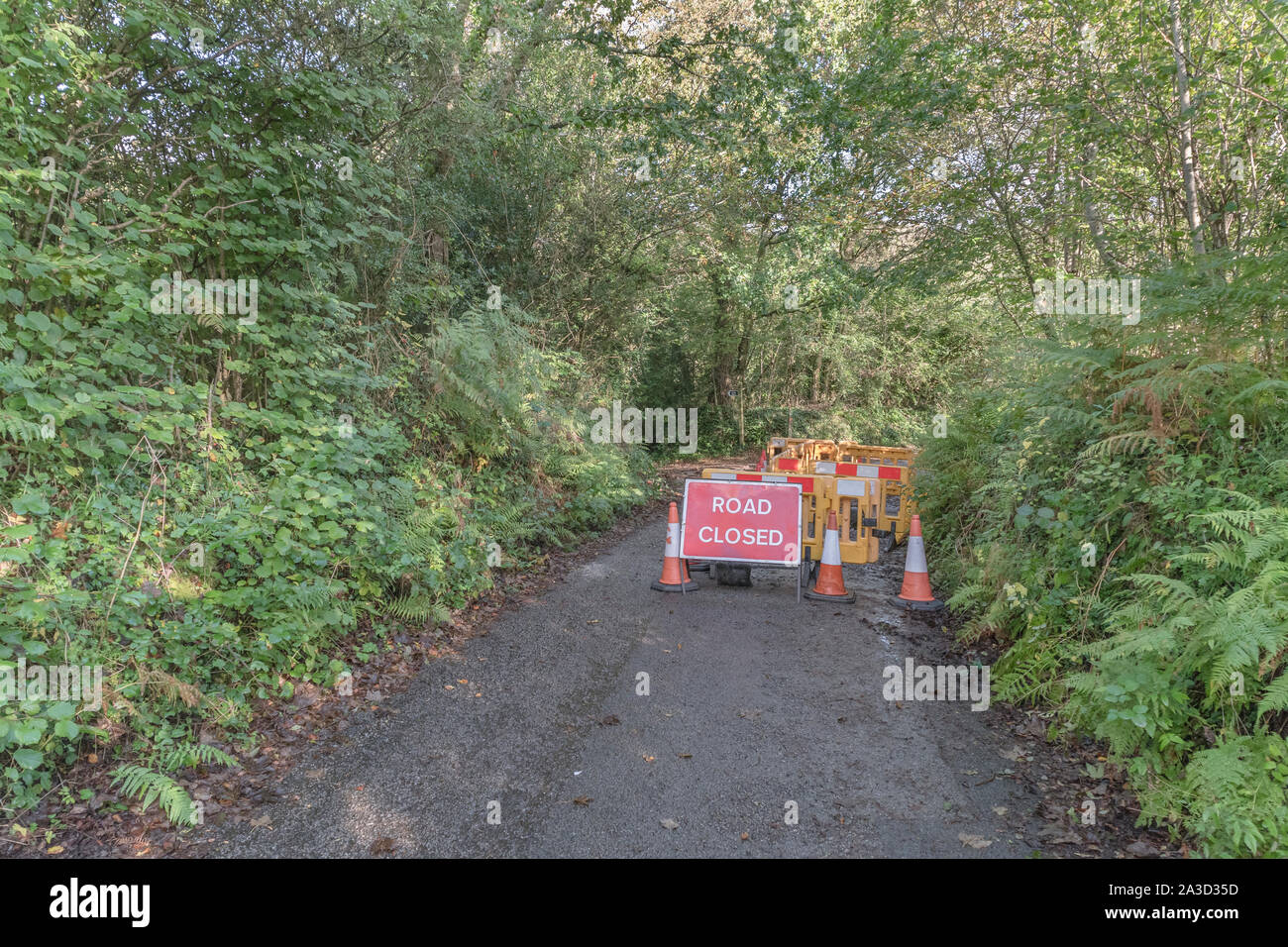 Red Road Closed warning sign in country road lane, along with traffic ...