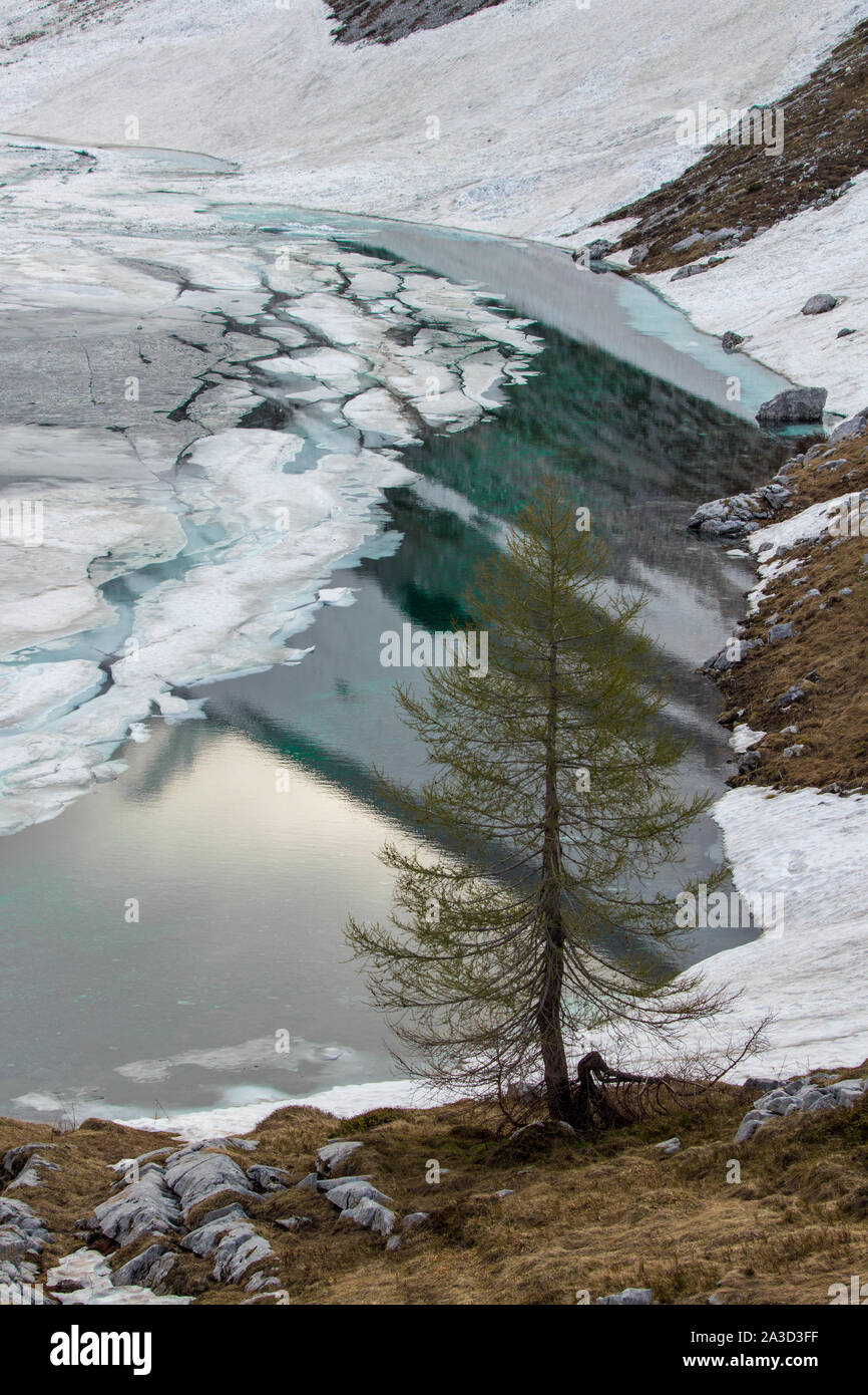 Biggest lake at Triglav valley covered in snow Stock Photo - Alamy