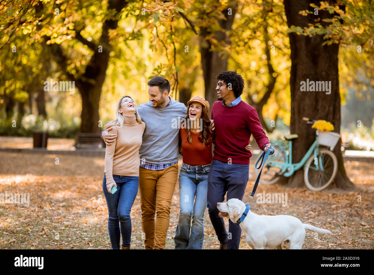 Group of multiracial young people walking in the autumn park and having ...