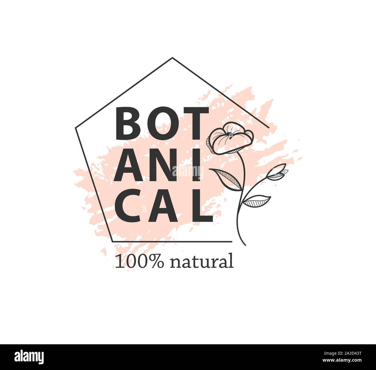 Botanical logo outline drawing vecctor in set Stock Vector Image & Art ...