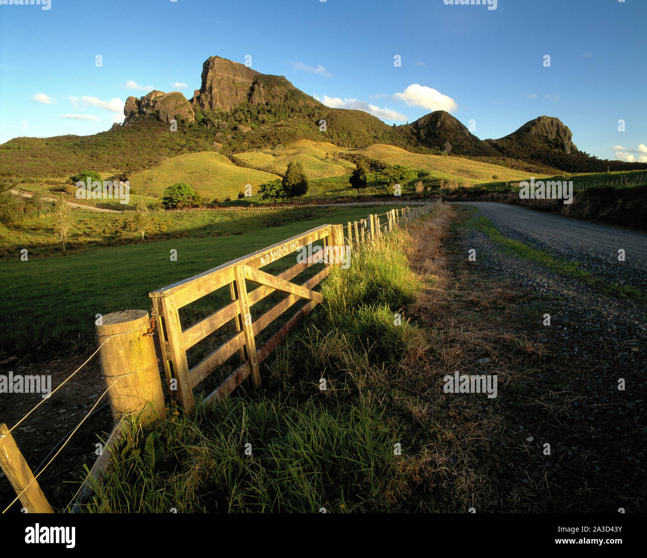 New Zealand. Coromandel Peninsula. Rural landscape with gate Stock ...