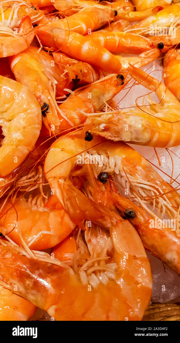 Fresh red prawns at the fish market Stock Photo - Alamy