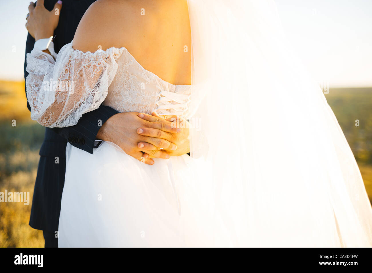 Back view of the bride embrased by her future husband in the sunlight ...