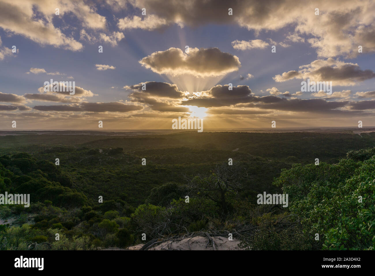 Wilderness kangaroo island High Resolution Stock Photography and Images ...