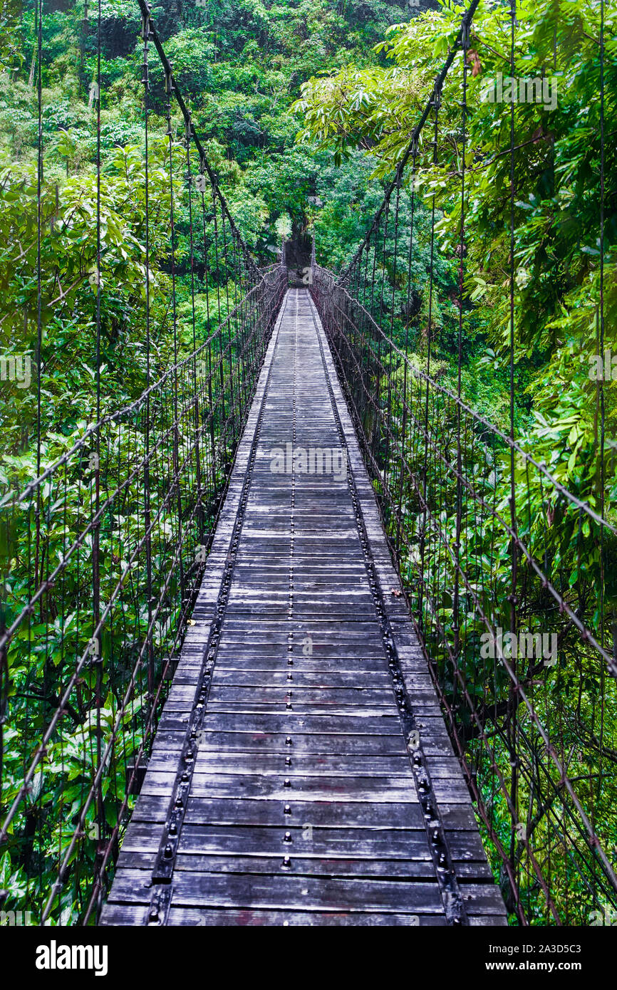 Rope bridge in Taiwan Stock Photo - Alamy