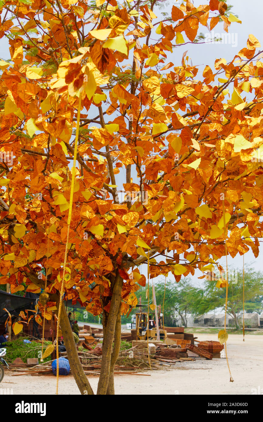 Golden tree in Thailand Stock Photo - Alamy