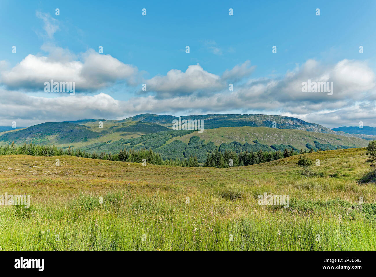 Highland meadow view, Scotland Stock Photo - Alamy