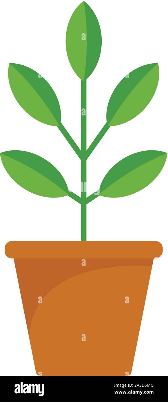 Pepper plant pot icon. Flat illustration of pepper plant pot vector ...
