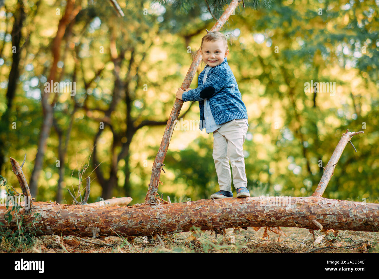 A child boy stands on a fallen tree trunk while walking in the autumn ...