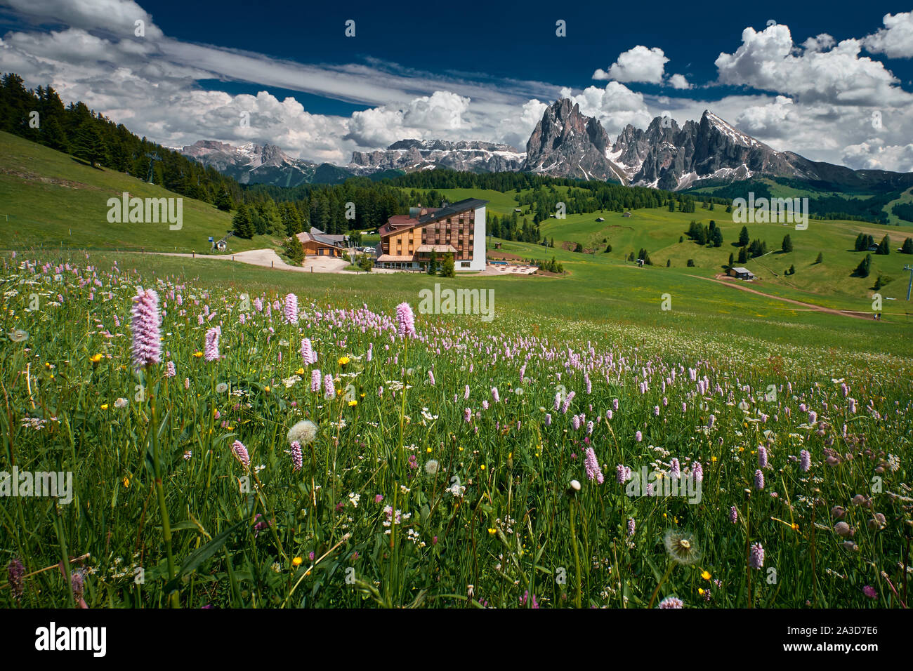 The landscape around Alpe di Siusi/Seiser Alm, the largest high ...