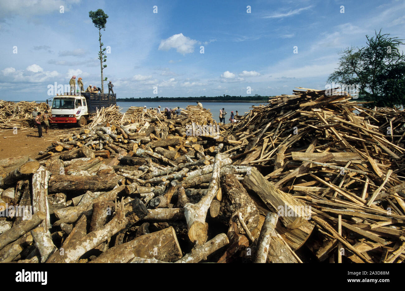 Tropical lumber hi-res stock photography and images - Alamy