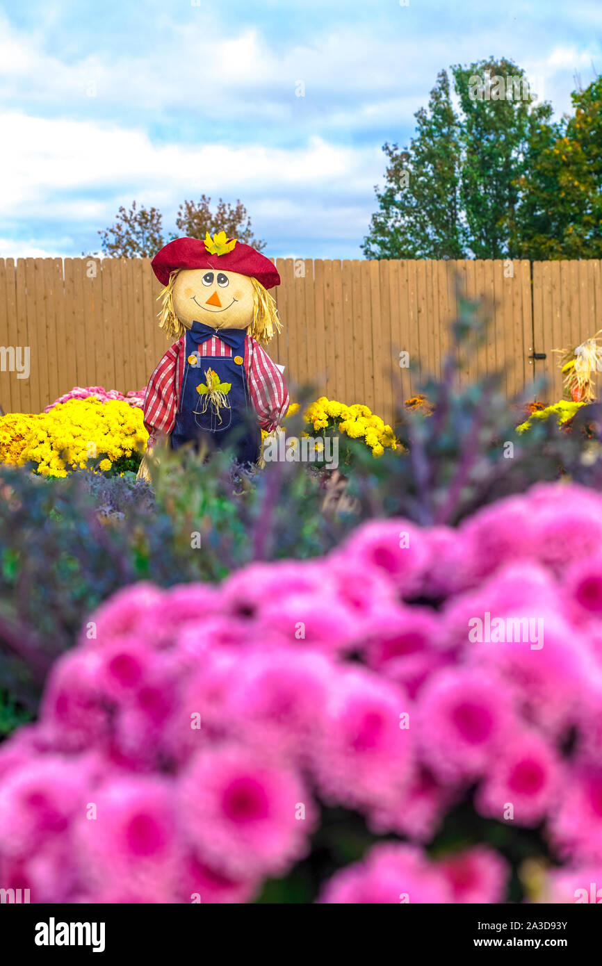 Cute Scarecrow Surrounded by Beautiful Fall Flowers Stock Photo - Alamy