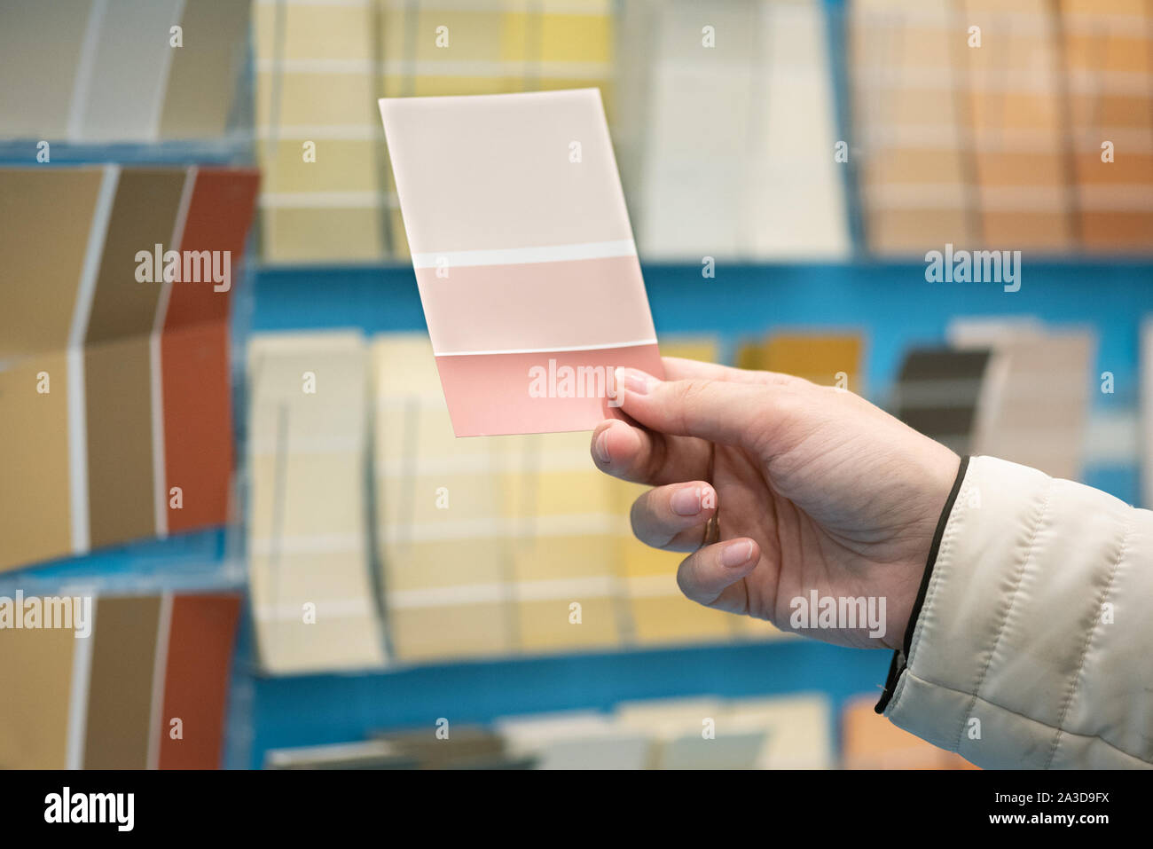 Wall color sample stickers in female hand Stock Photo - Alamy