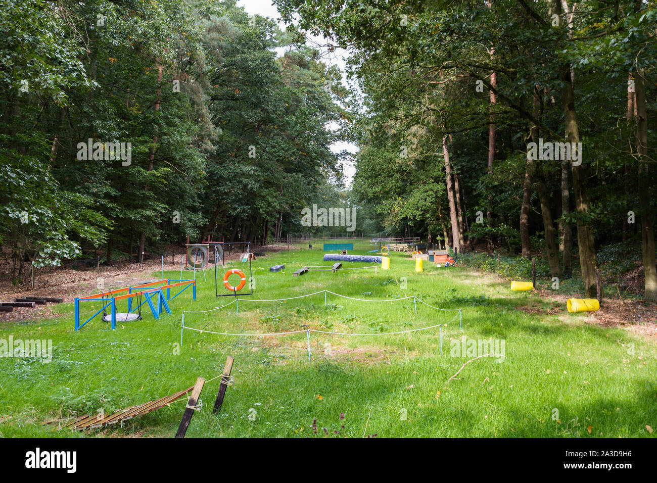 Dog trainign field between trees Stock Photo - Alamy