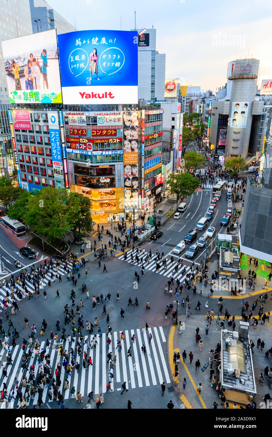 Aerial view crossing famous shibuya hi-res stock photography and images ...