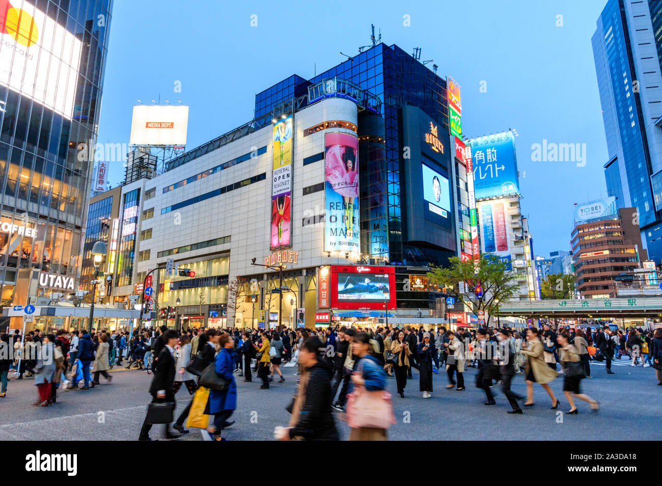 Tokyo. Shibuya. The famous landmark busy scramble crossing, with people ...