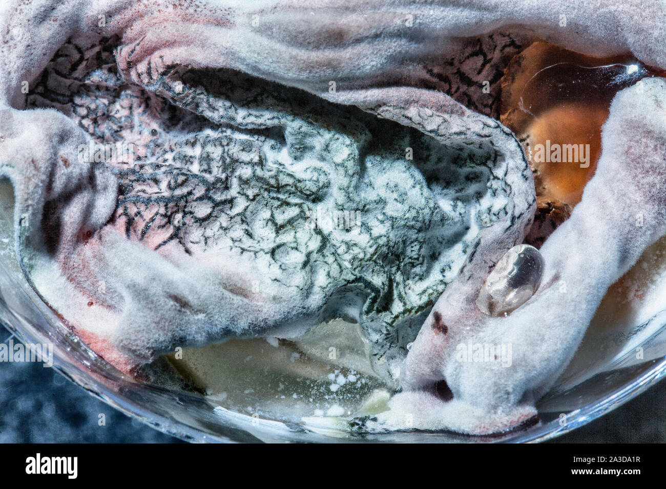 Spoiled milk hi-res stock photography and images - Alamy