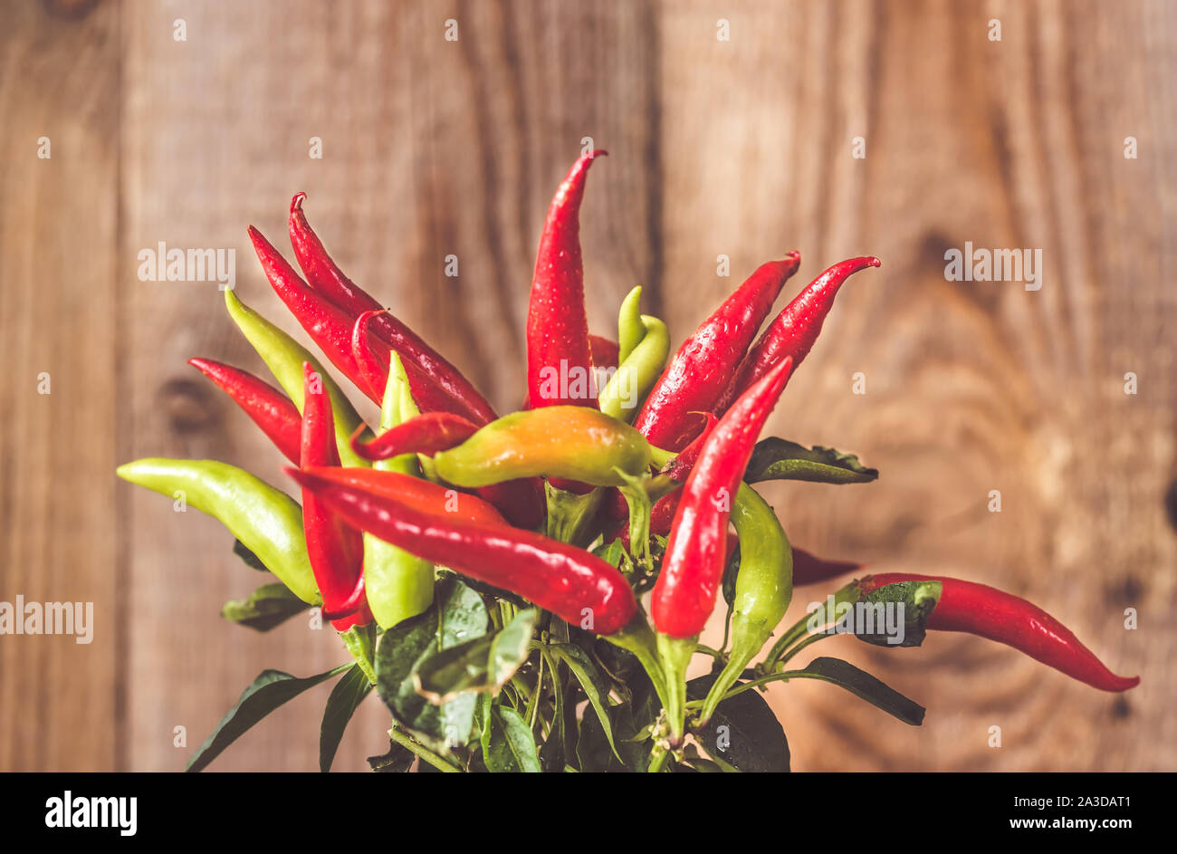 Capsicum mix in the pot on the wooden background Stock Photo - Alamy