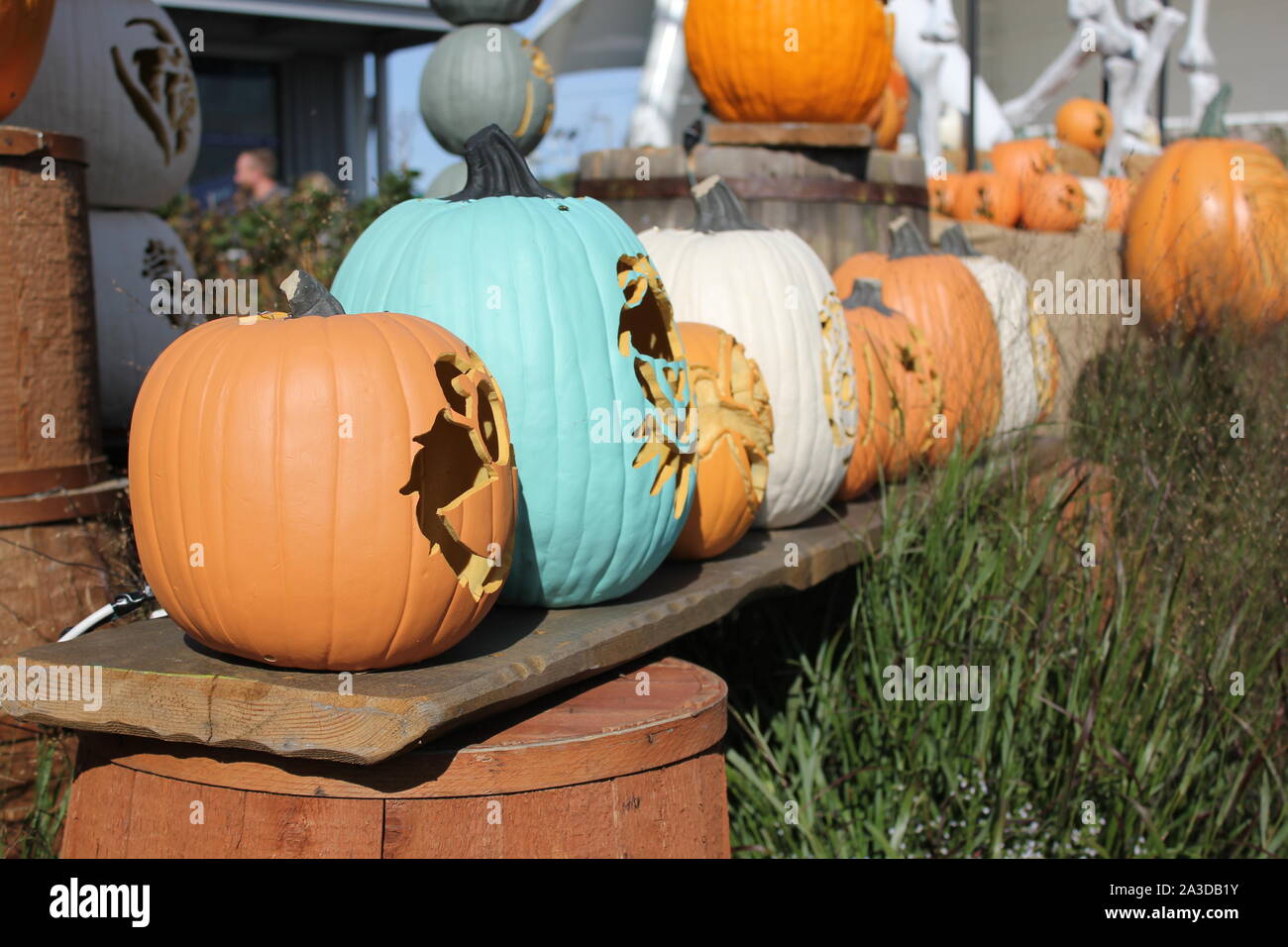 Elaborate fall pumpkin carving Stock Photo - Alamy