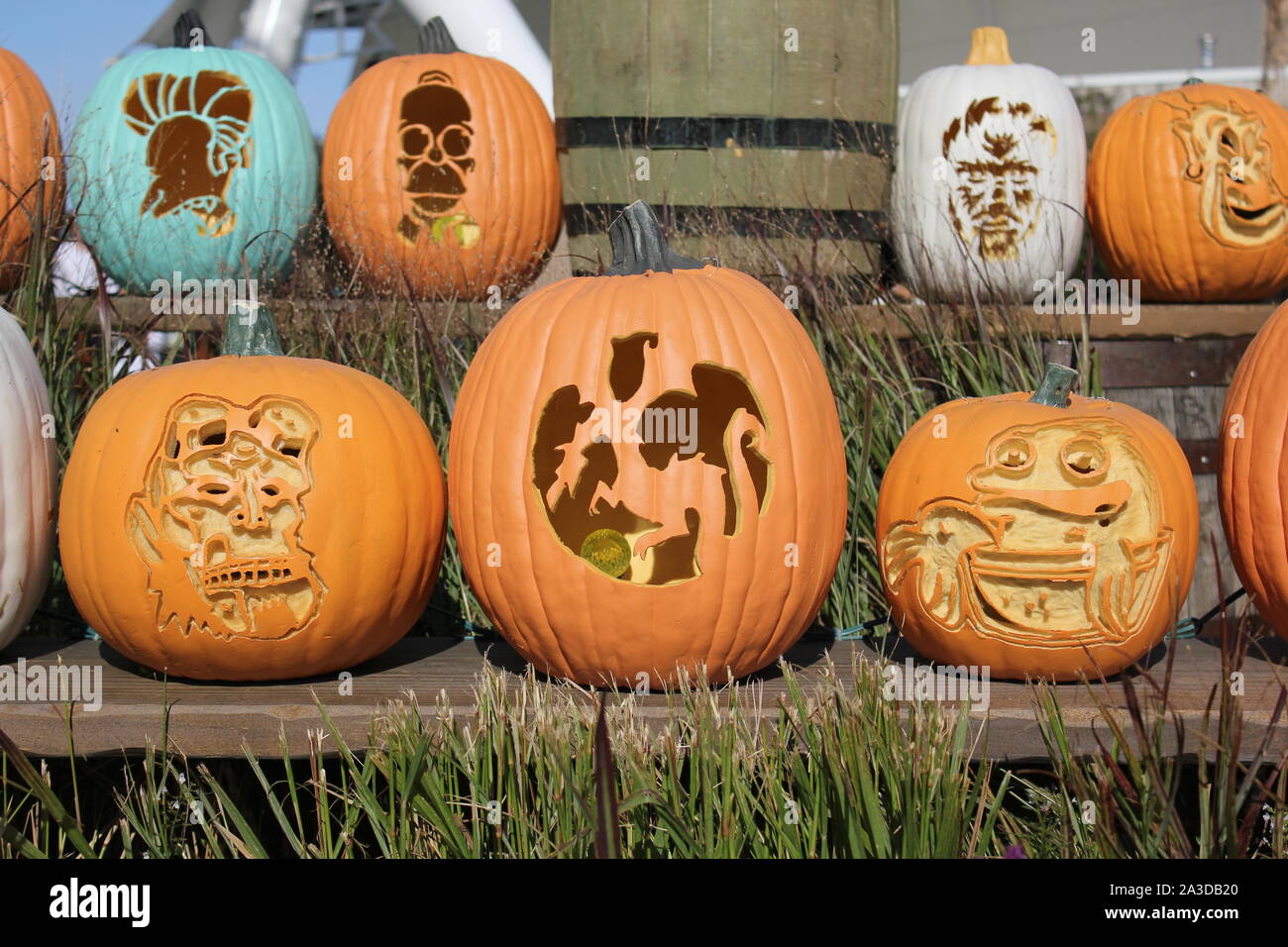 Elaborate fall pumpkin carving Stock Photo - Alamy